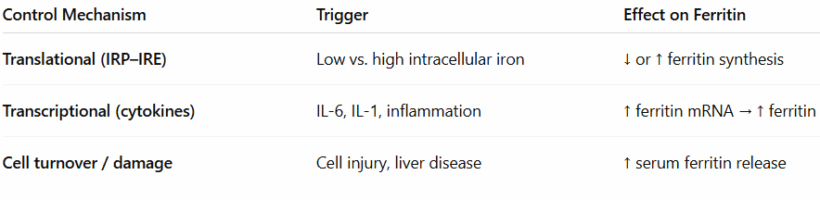 Serum Ferritin Levels • The Blood Project