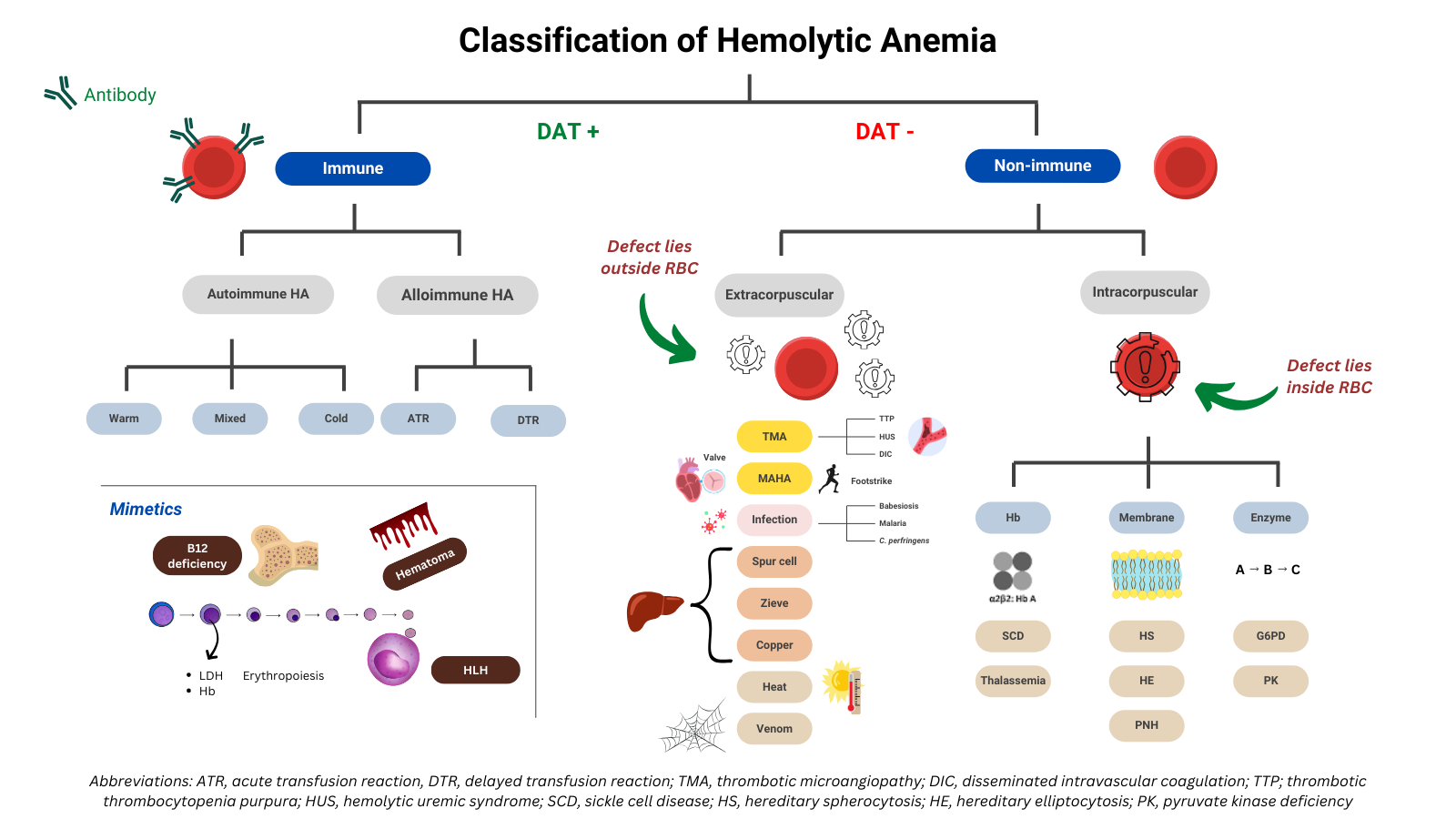 Hemolysis • The Blood Project