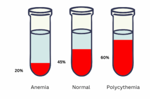 Understanding Polycythemia • The Blood Project