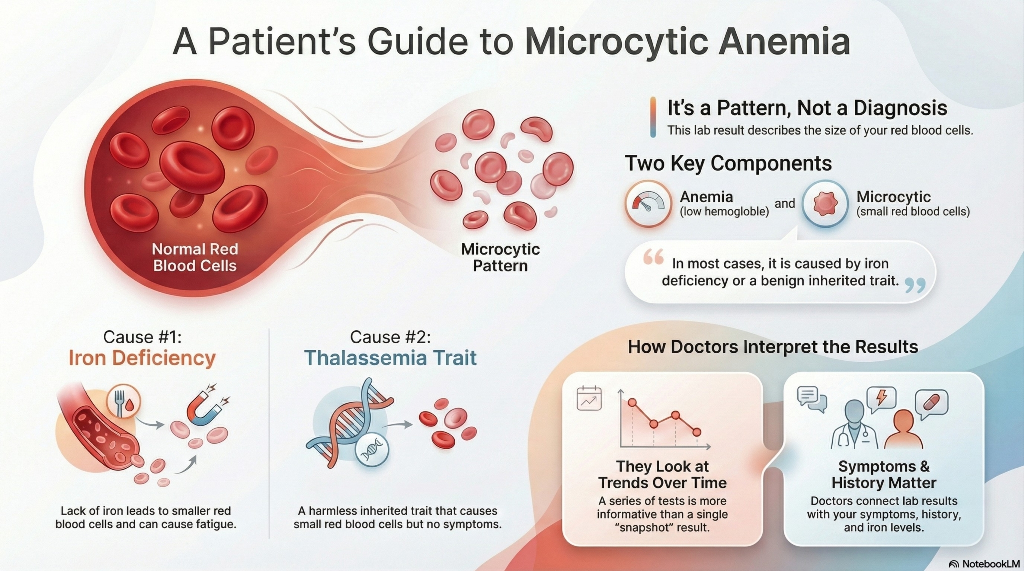 Understanding Microcytic Anemia • The Blood Project