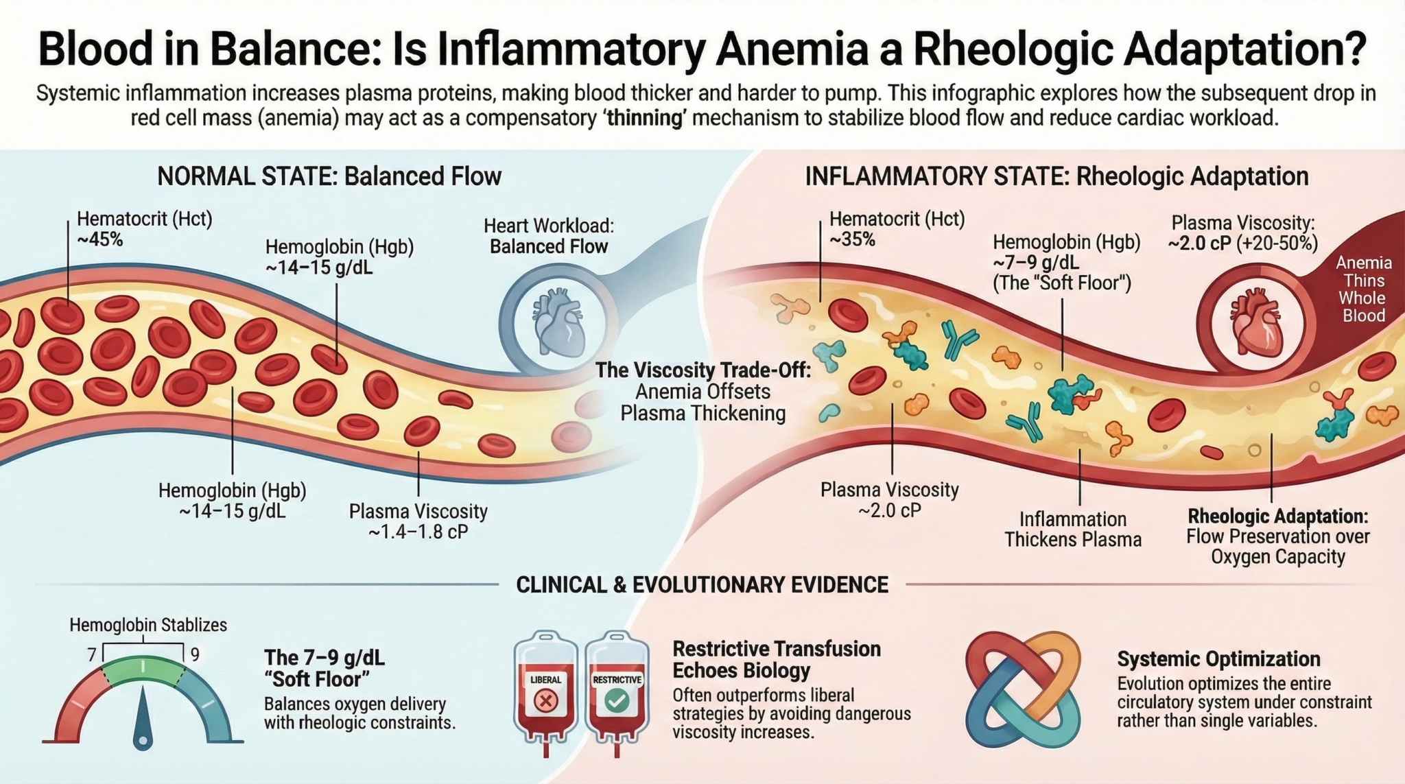 Anemia of Inflammation: Trade-Off or Rheologic Adaptation? • The Blood ...