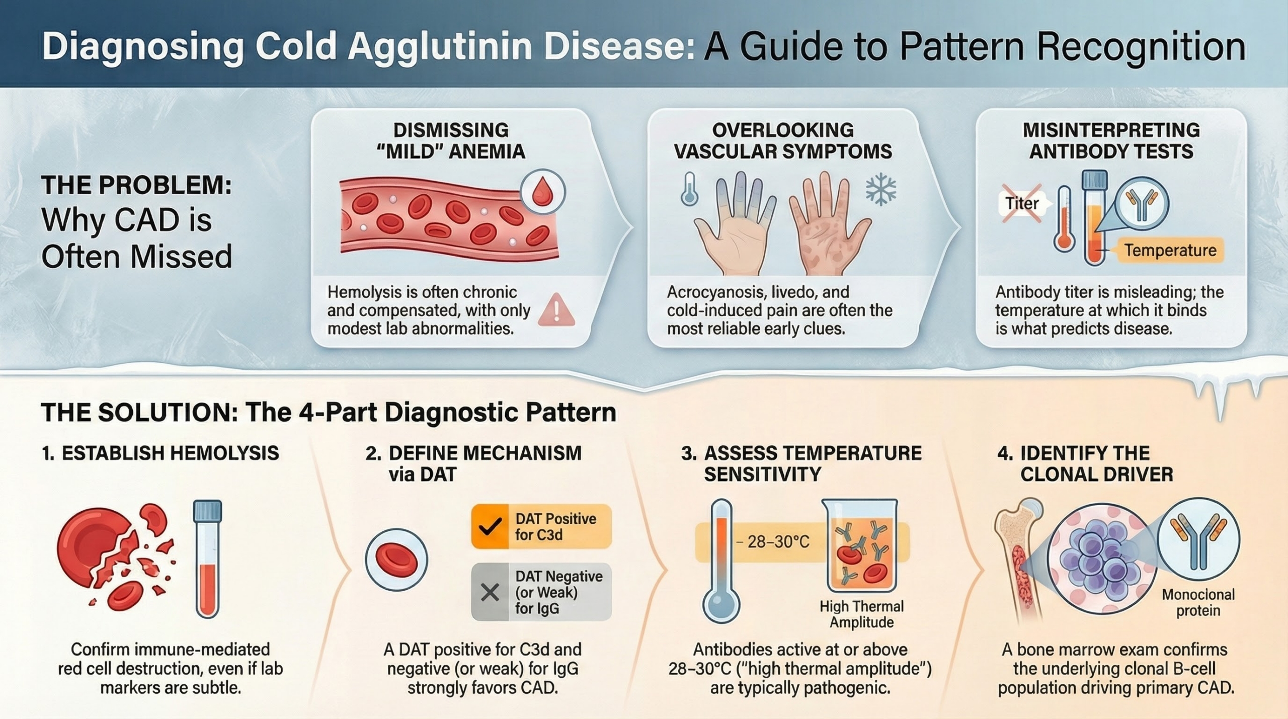 Diagnosis of Cold Agglutinin Disease • The Blood Project